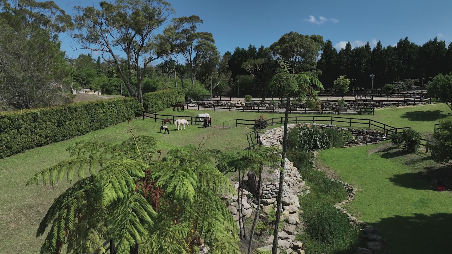 Northern Beaches (Duffys Forest) Equine Day Retreat – Mandala Care Group